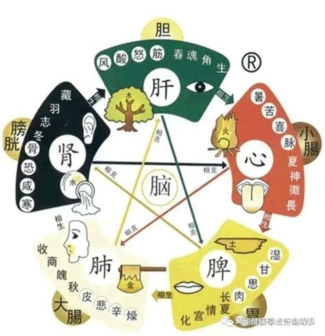 想要成为万人迷每天坚持养肝错不了 知乎