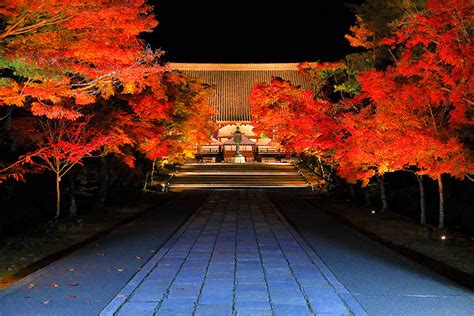 仁和寺 紅葉