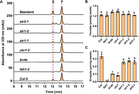 Accumulation Of Seed Coat Suberin Aromatics In The Redox Component