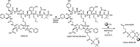 Preparation Of Core Crosslinked Polymeric Micellar Nanoparticles In Download Scientific Diagram
