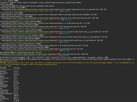 Pip Module They Disappear After Reboot Configuration Home Assistant