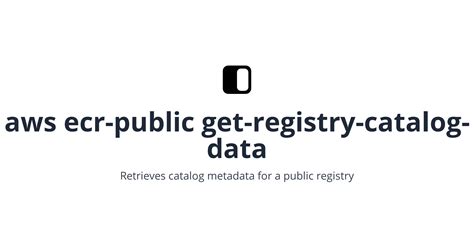 Aws Ecr Public Get Registry Catalog Data Fig