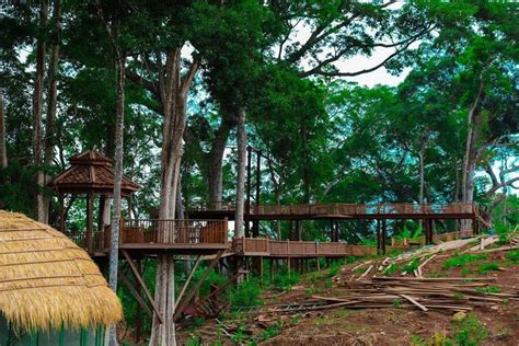 រដ្ឋមន្ត្រីក្រសួងទេសចរណ៍ សាទរចំពោះការបង្កើតរមណីយដ្ឋានសមុទ្រឈើ នៅខេត្តមណ្ឌលគិរី Khmerhome