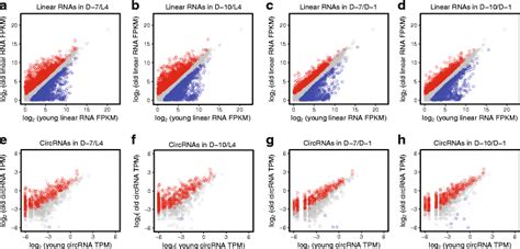 Comparison Of Circrna And Linear Rna Expression During Aging A