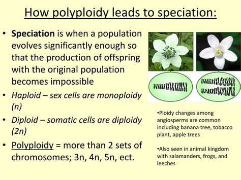 Ppt 15 2 Species And Speciation Overview Powerpoint Presentation Id 2141229