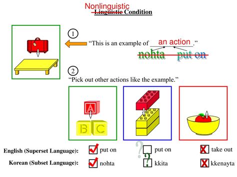 Ppt Crosslinguistic Differences In The Spatial Domain Powerpoint Presentation Id9214314