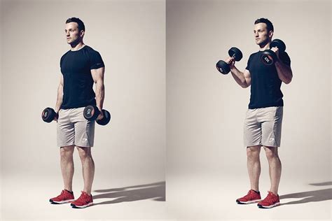 Hammer Curls Proper Form For Maximum Results Health Vitaly