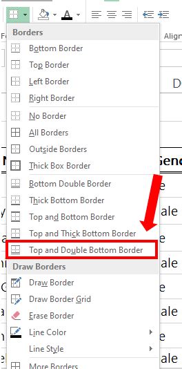 How To Apply Top And Double Bottom Border In Excel Spreadcheaters