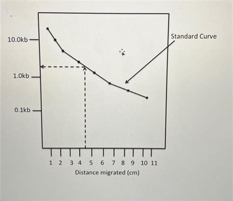 Solved Please Draw A Log Linear Graph With Standart Chegg Com