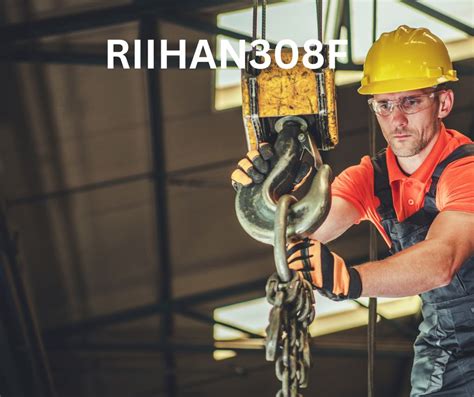 Load And Unload Plant Riihan308f