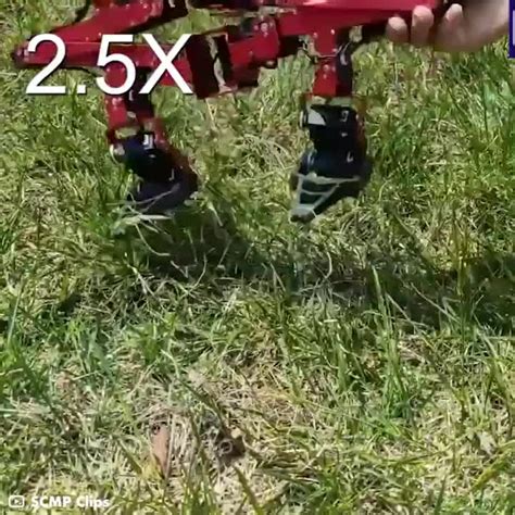 sumit chatterjee posted on linkedin