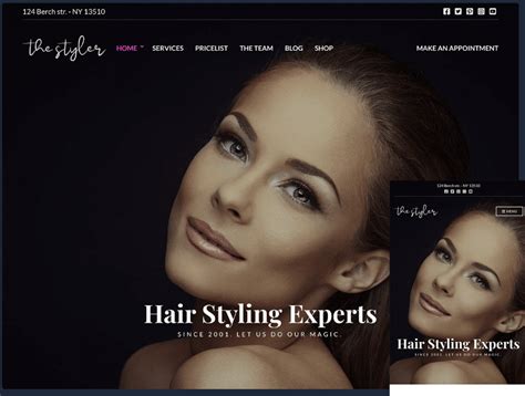 CSS Igniter The Styler WordPress Theme