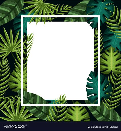 Cute Framework With Exotic Leaves Plants Vector Image