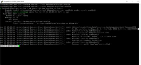 Running Blazor Server Web App On Linux And Apache Running Blazor Server Web App On Linux And Apache
