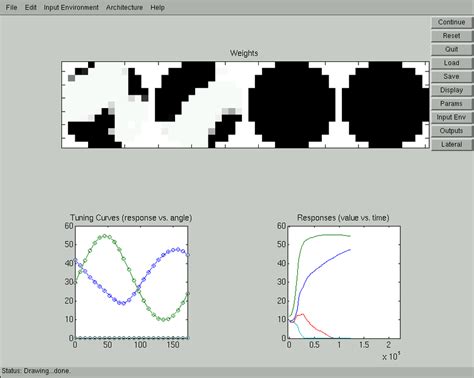 Example Simulation Of Ocular Dominance And Orientation Selectivity As