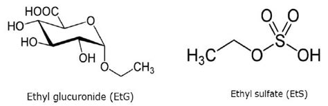 Determination Of Ethyl Glucuronide And Ethyl Sulfate In Urine Using Lc Ms Ms