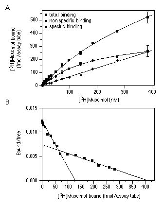 Total Binding Meddic