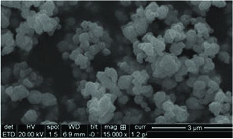 Sem Image Of Ag Au Nanocomposite Download Scientific Diagram