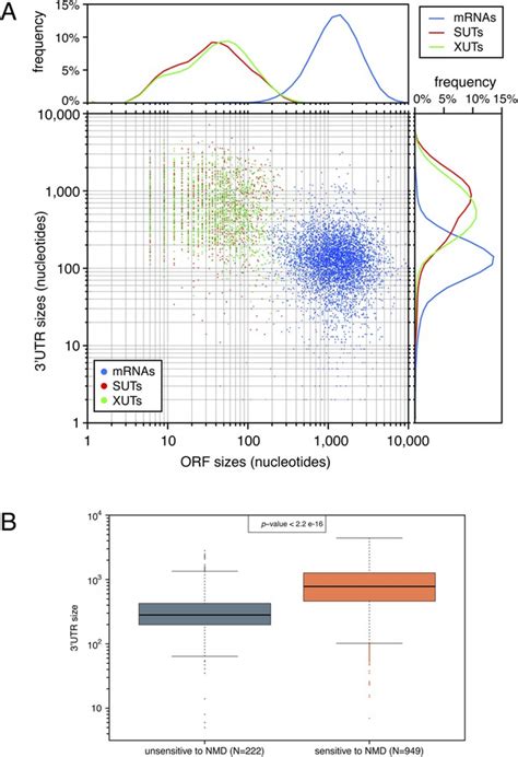 Figures And Data In Quality Control Of Transcription Start Site Selection By Nonsense Mediated