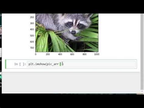 Everything Opencv Python With Opencv Image Processing