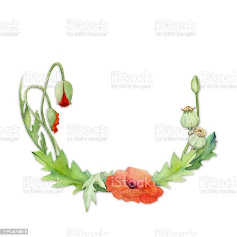 수채화 화환 원형 프레임 구성과 손으로 그린 여름 밝은 빨간색 양귀비 꽃 흰색 배경에 격리 초대장 결혼식 사랑 또는 인사말 카드 종이 인쇄 섬유 디자인 개체 그룹에 대한