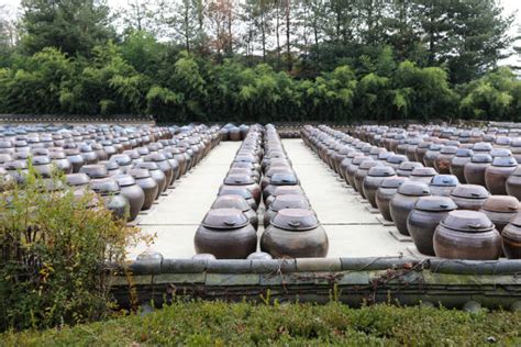 60 Pithos Container Foto Stok Potret And Gambar Bebas Royalti Istock