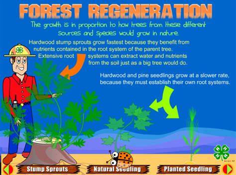 Trees The Renewable Resource Play Online On Flash Museum