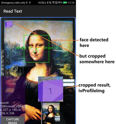 Android Google Mobile Vision Api Crop Face As Bitmap From Camera Stack Overflow