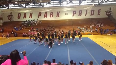 Cass Tech Cheer Dance 2014 Think Pink Event Youtube