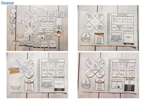 Природа Окружающий мир Распечатки по предмету презентация онлайн