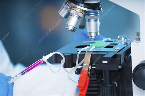 Lab On A Chip Stock Image F022 8942 Science Photo Library