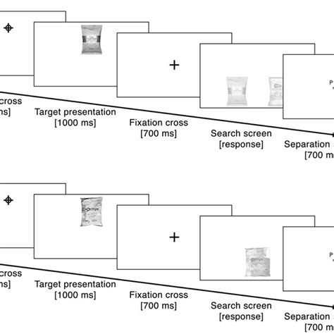 Exposure Phase Experiment Example Sequence Of One Search Task