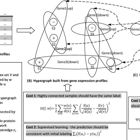Regularization Framework Of Hypergene Download Scientific Diagram