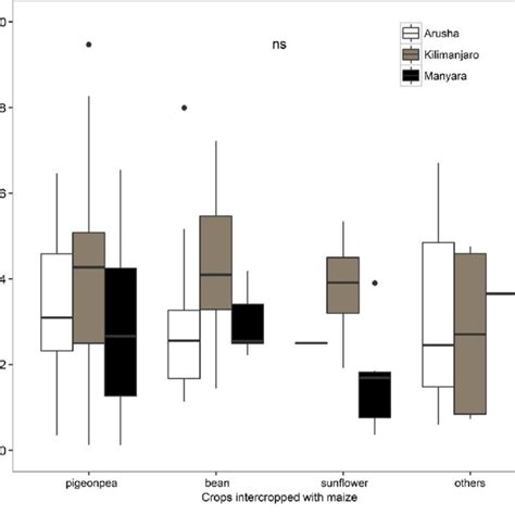 Measured Grain Yield For Maize In Various Intercrops In 20162017 Download Scientific Diagram