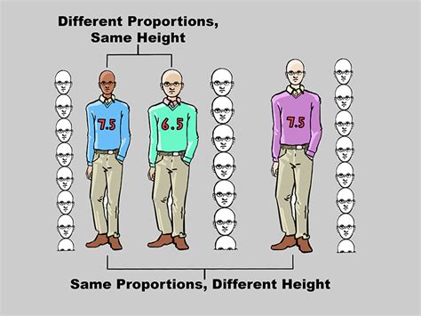 Proportion A Principle Of Art