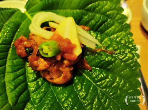 대전 곱창 맛집은 미미왕십리야채불곱창 송촌점 친절해서 더 맛있는 곳 네이버 블로그