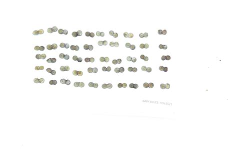 Blueberry Detection Object Detection Dataset And Pre Trained Model By Strawberry