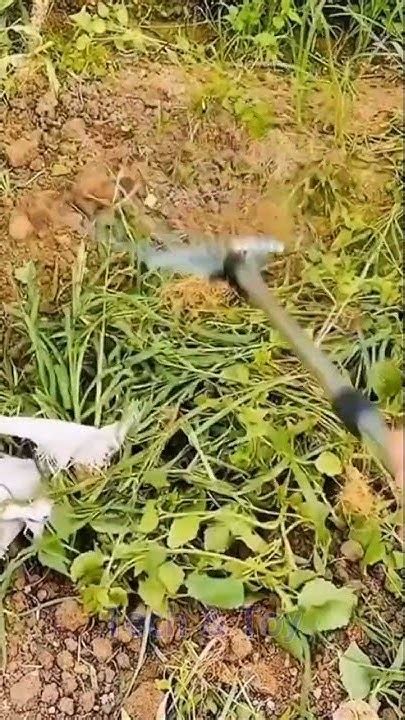 가을 낙엽 수거 청소 완전 득템이네~ 낙엽갈퀴 보러가기👉 Youtube