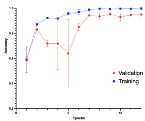 Graph Showing The Validation And Training Accuracy Averaged Over Five Download Scientific