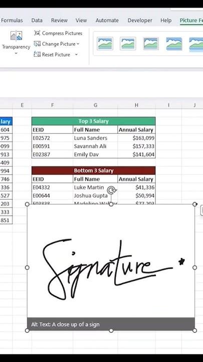 Easy Signature Trick In Excel Exceltips Exceltricks Officechaser