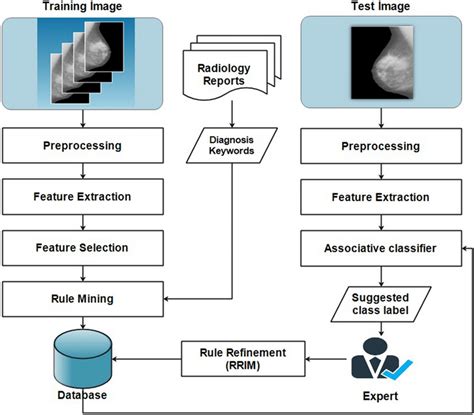 The Proposed Adaptive Associative Classifier Download Scientific Diagram