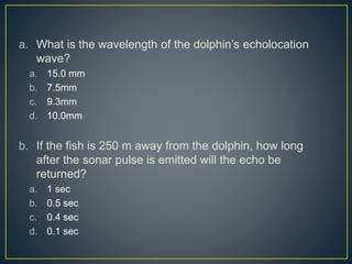 Physics And Echolocation PPTX
