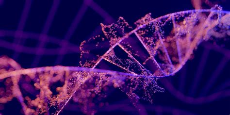 Nucleotide Analysis Shimadzu Switzerland