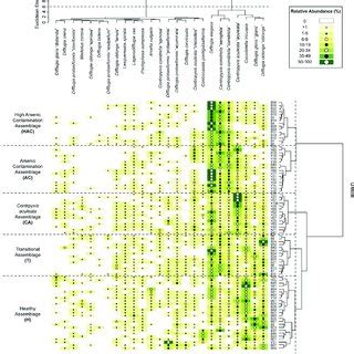 Combined Q Mode And R Mode Cluster Dendrogram For The 84 Samples And 25 Download Scientific