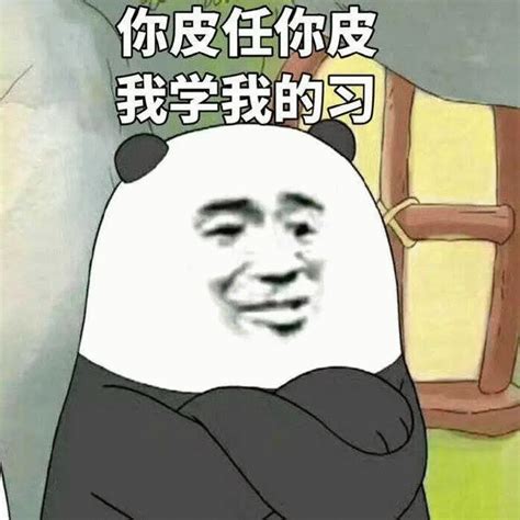 任你处置表情包图片 求表情网 斗图从此不求人
