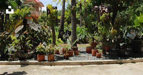 화분에 심은 식물의 그룹 사진 Unsplash의 무료 건물 이미지