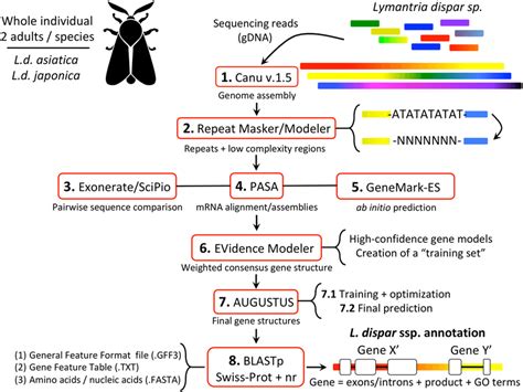 genome annotation pipeline specifically optimized and trained to