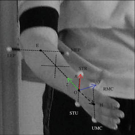 The Coordinate System For Joint Angle Calculation Mep And Lep Medial Download Scientific