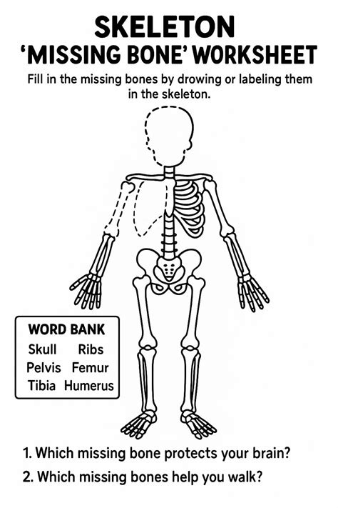 Skeletal System Worksheets Free Image And Pdf Printables