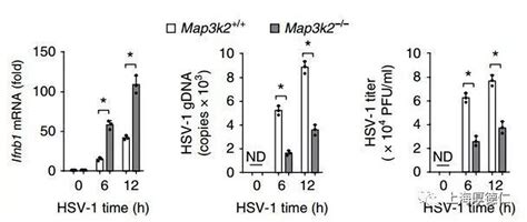 惊呆了！中国科学家发现巨噬细胞竟会接受癌细胞“ 贿赂”！